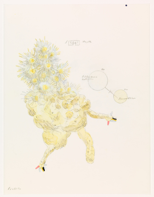 Matthew Ritchie | Whitney Museum of American Art