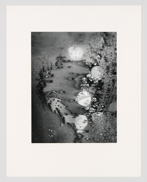 Minor White | Whitney Museum of American Art