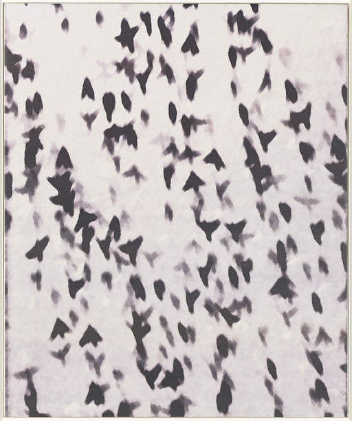 Michal Rovner | Whitney Museum of American Art