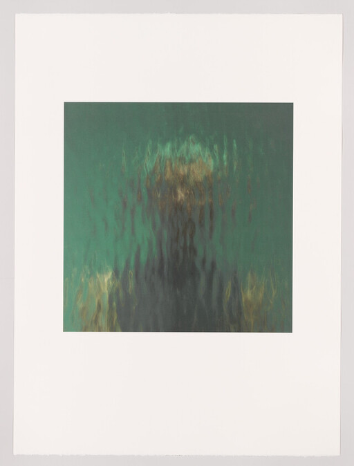 Ann Hamilton | Whitney Museum of American Art