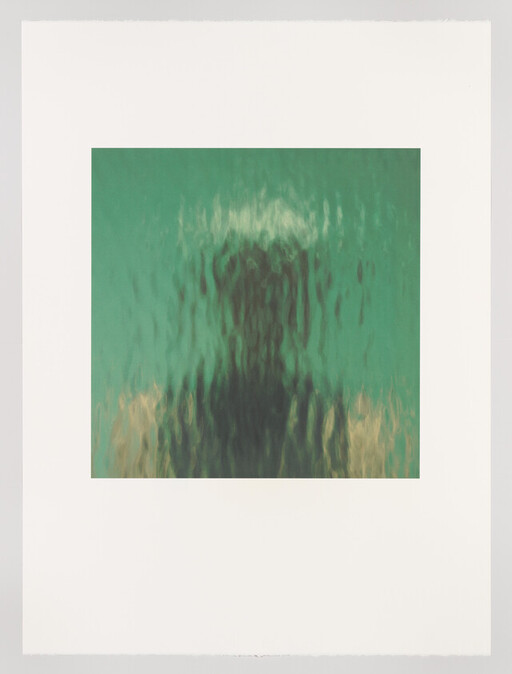 Ann Hamilton | Whitney Museum of American Art