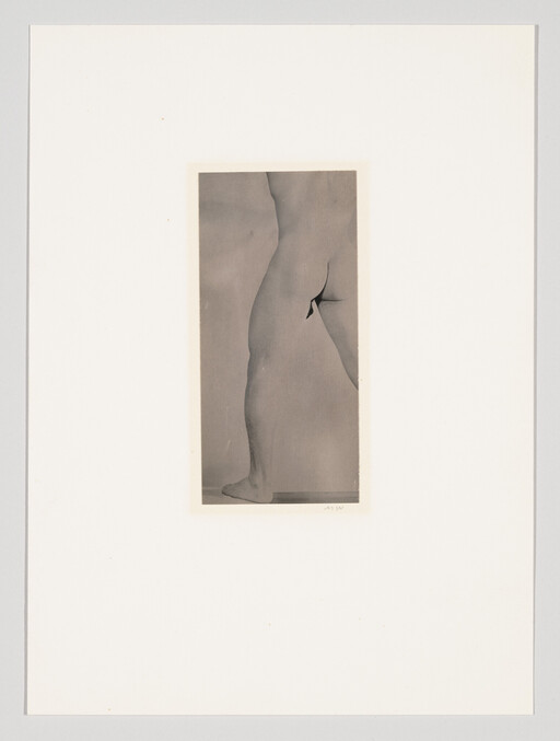 Minor White | Whitney Museum of American Art