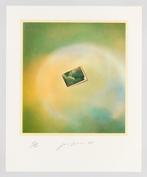 Joe Goode | Whitney Museum of American Art