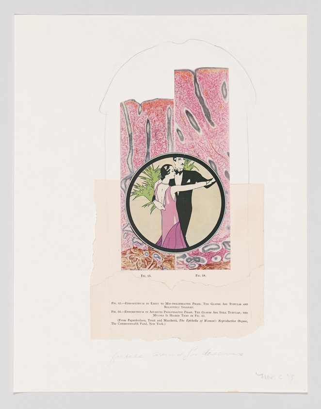 Joanne Leonard Untitled dancing Couple 1973 Whitney Museum Of