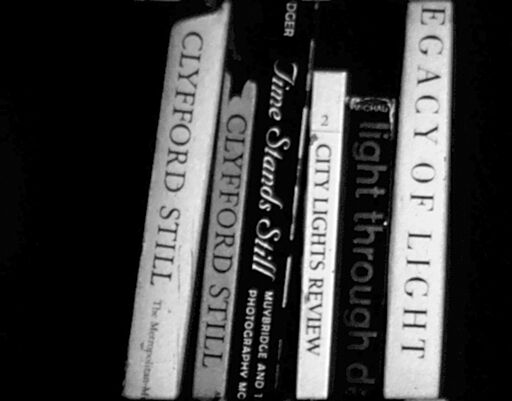 Between the Still and Moving Image | Whitney Museum of American Art