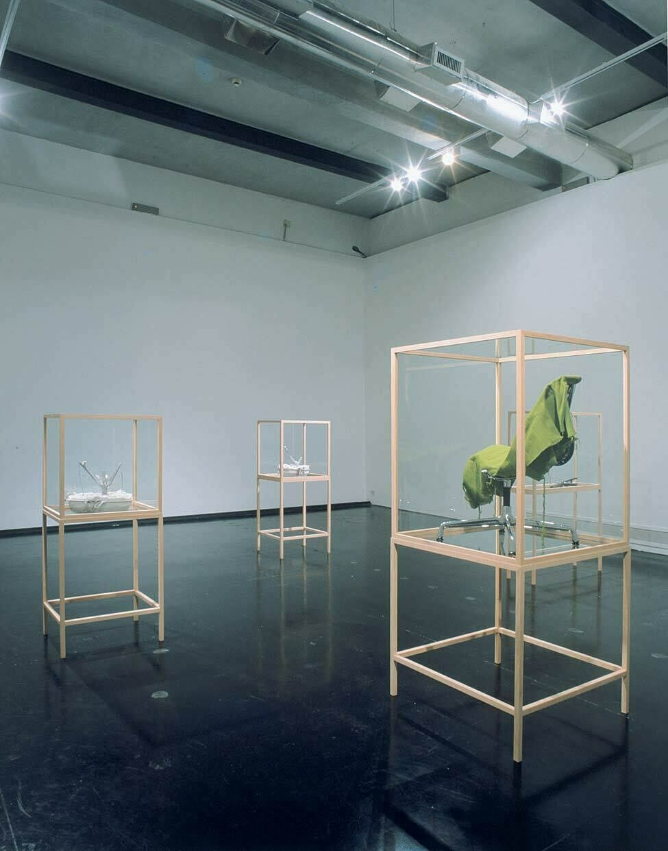 Simon Starling, Work, Made-ready, In Light of Nature, 2003 | Whitney ...