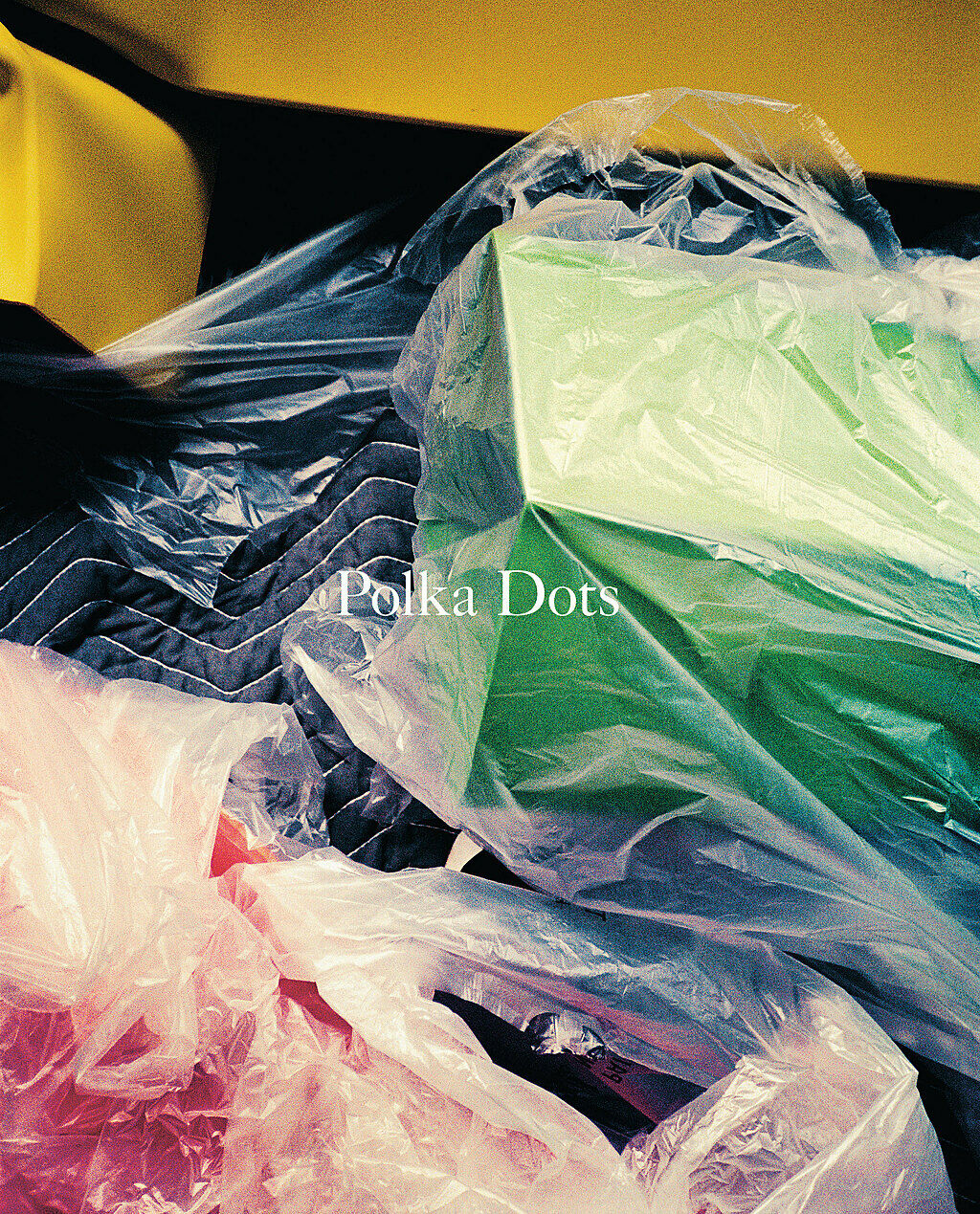 Carol Bove Book Launch | Whitney Museum of American Art