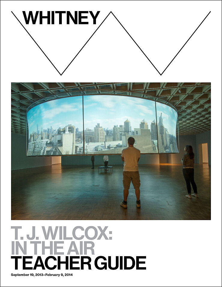 T. J. Wilcox: In the Air | Whitney Museum of American Art