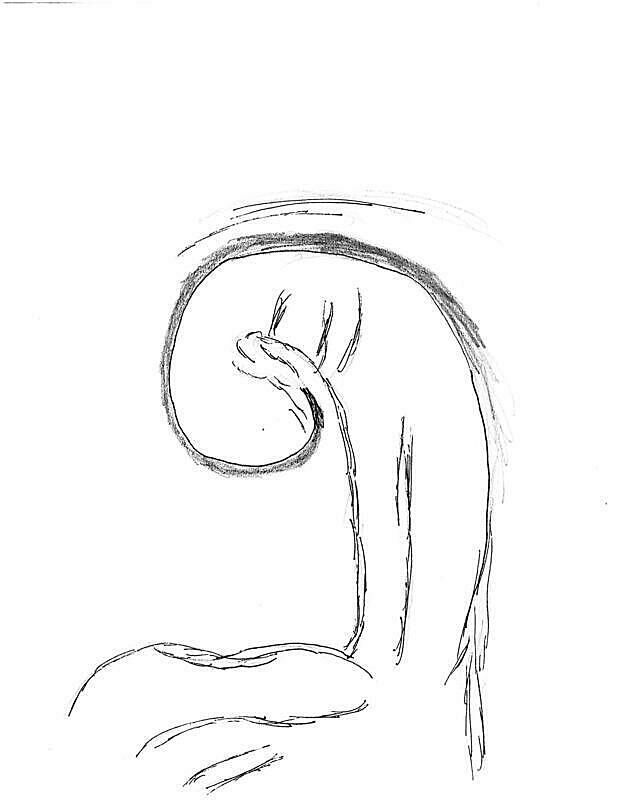 Youth Insights Writers Fall 2009 | Whitney Museum of American Art