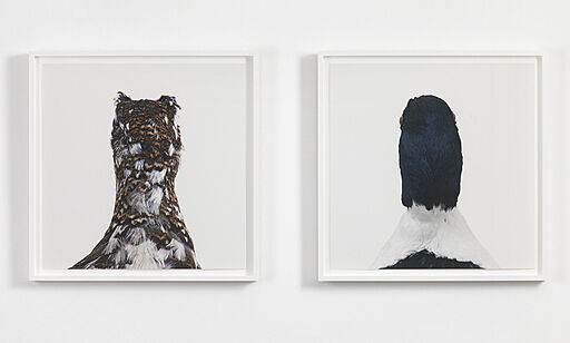 Roni Horn aka Roni Horn | Whitney Museum of American Art