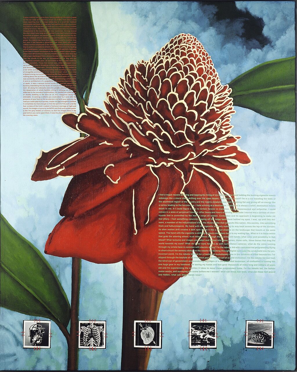 David Wojnarowicz: History Keeps Me Awake at Night | Whitney Museum of ...