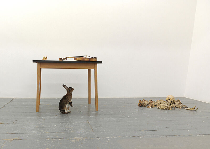 Darren Bader | Whitney Museum of American Art