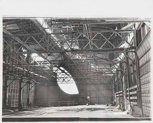 David Hammons | Whitney Museum of American Art