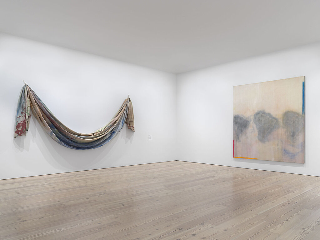 Spilling Over: Painting Color in the 1960s | Whitney Museum of American Art