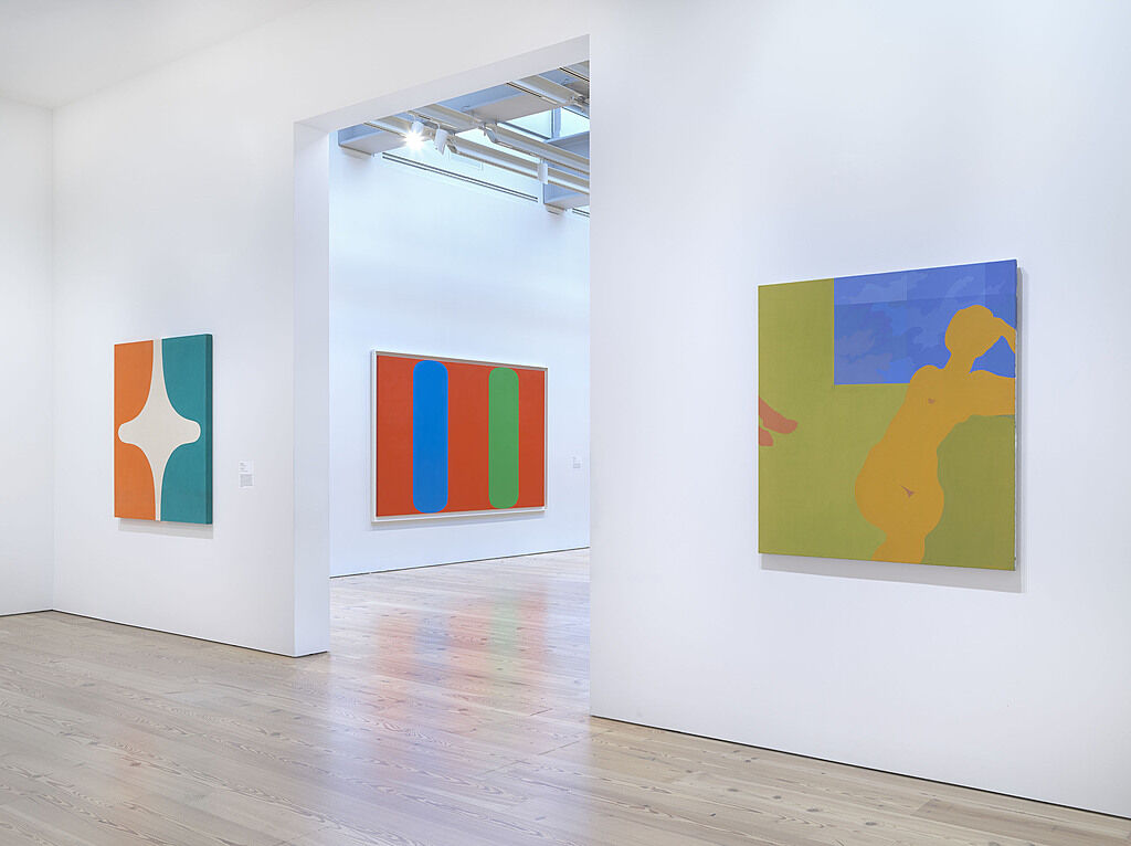Spilling Over: Painting Color in the 1960s | Whitney Museum of American Art
