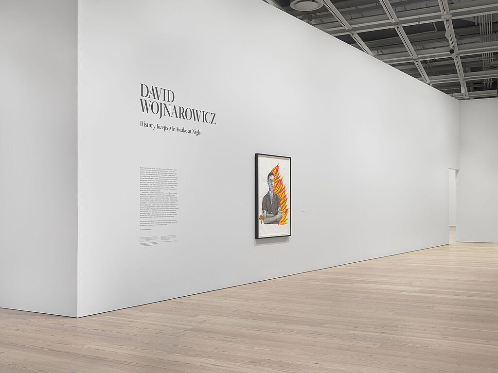 David Wojnarowicz: History Keeps Me Awake at Night | Whitney Museum of ...
