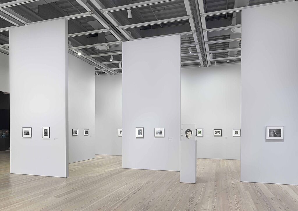 David Wojnarowicz: History Keeps Me Awake at Night | Whitney Museum of ...