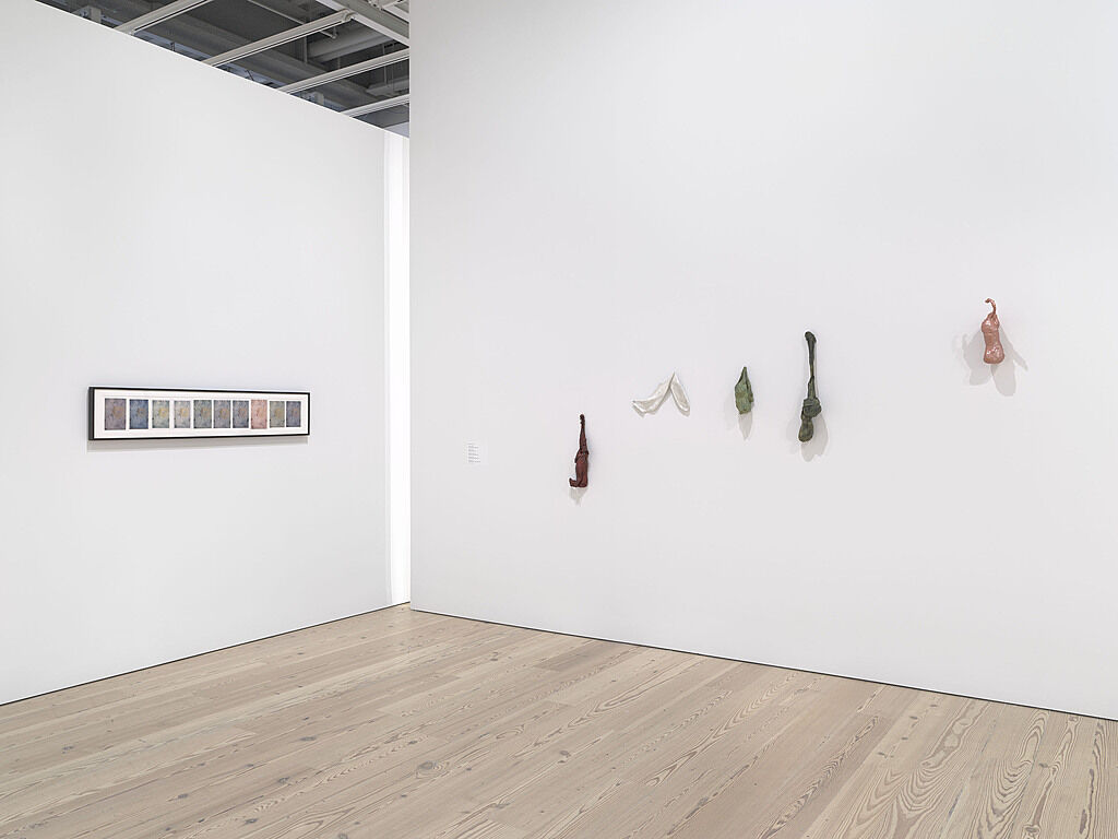 Rachel Harrison Life Hack | Whitney Museum of American Art