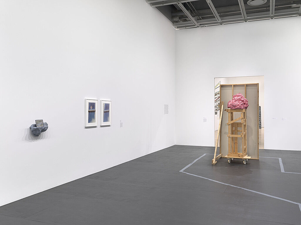 Rachel Harrison Life Hack | Whitney Museum of American Art