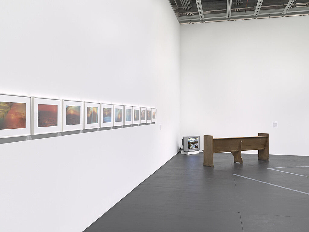 Rachel Harrison Life Hack | Whitney Museum of American Art