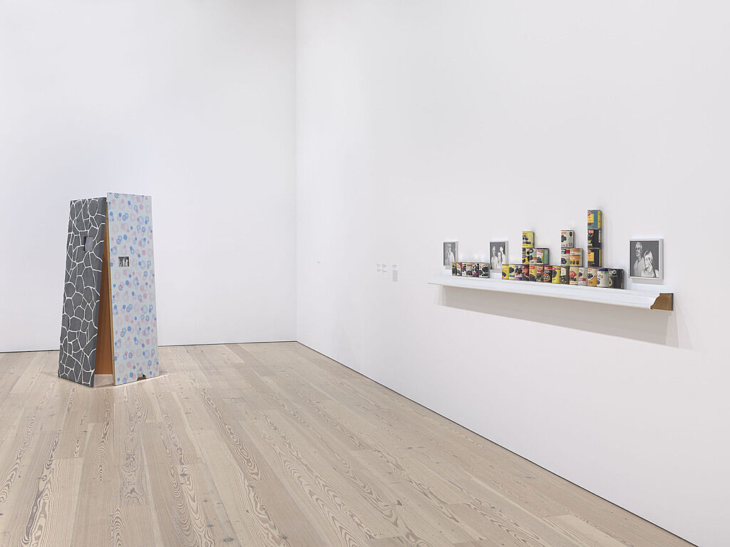 Rachel Harrison Life Hack | Whitney Museum of American Art