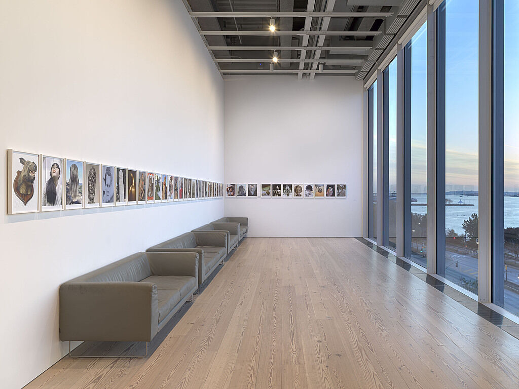 Rachel Harrison Life Hack | Whitney Museum of American Art