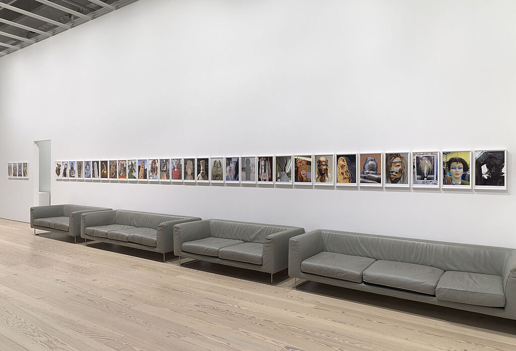 Rachel Harrison Life Hack | Whitney Museum of American Art