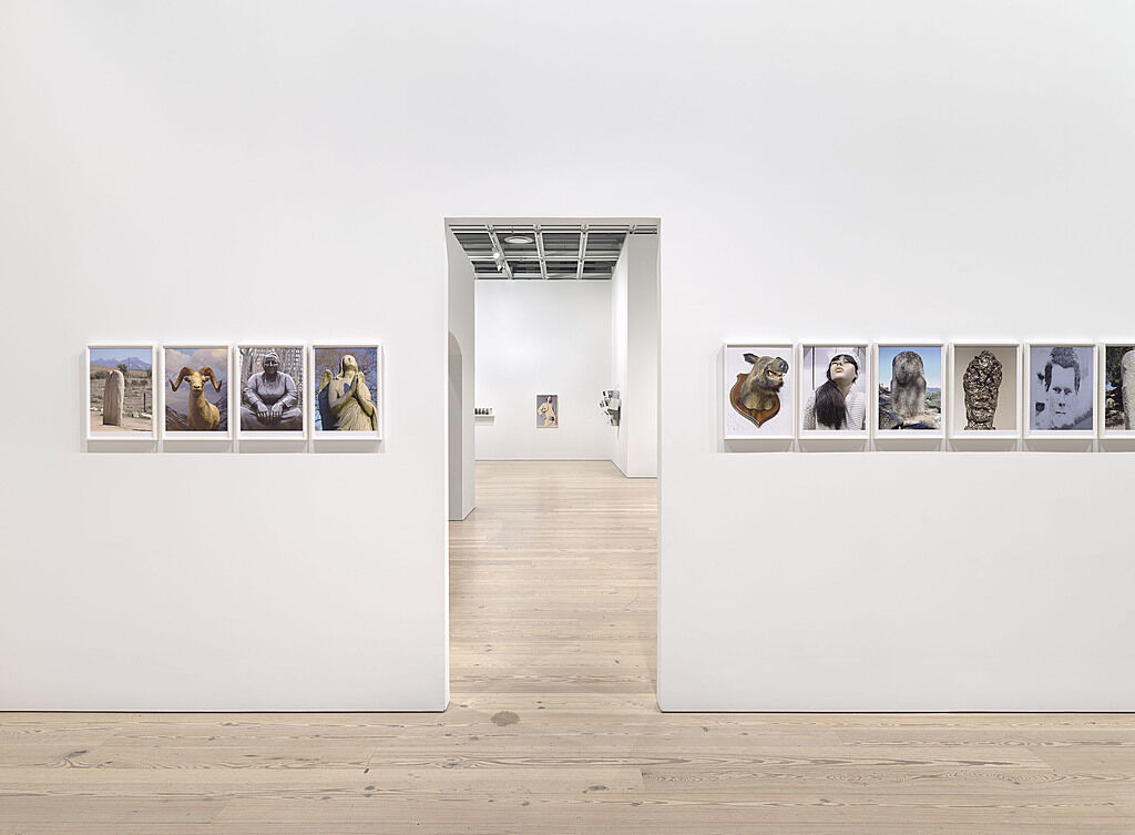 Rachel Harrison Life Hack | Whitney Museum of American Art
