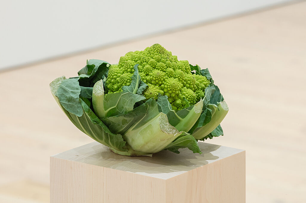 fruits, vegetables; fruit and vegetable salad | Whitney Museum of ...