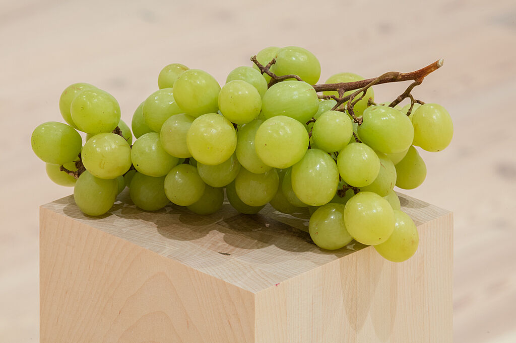 fruits, vegetables; fruit and vegetable salad | Whitney Museum of ...