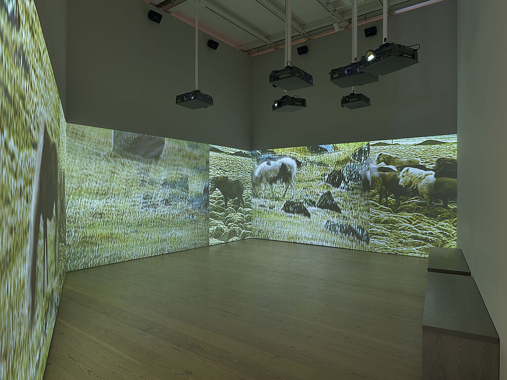 Programmed: Rules, Codes, and Choreographies in Art, 1965–2018 ...