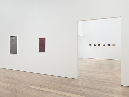 Zoe Leonard: Survey | Whitney Museum of American Art