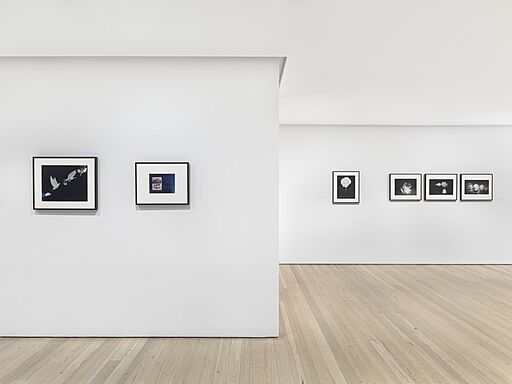 Flash: Photographs by Harold Edgerton from the Whitney's Collection ...