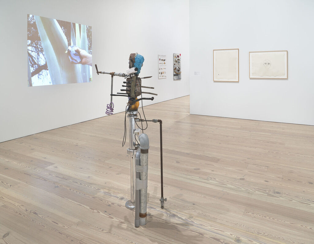 Jimmie Durham: At the Center of the World | Whitney Museum of American Art