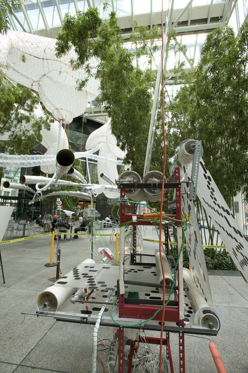 Tim Hawkinson | Whitney Museum of American Art
