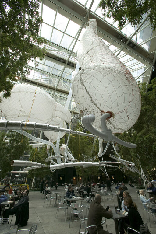 Tim Hawkinson | Whitney Museum of American Art