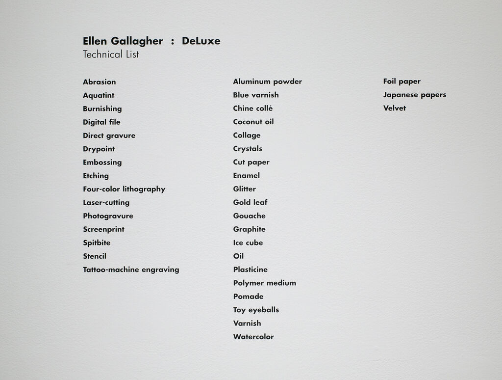 Ellen Gallagher: DeLuxe | Whitney Museum of American Art