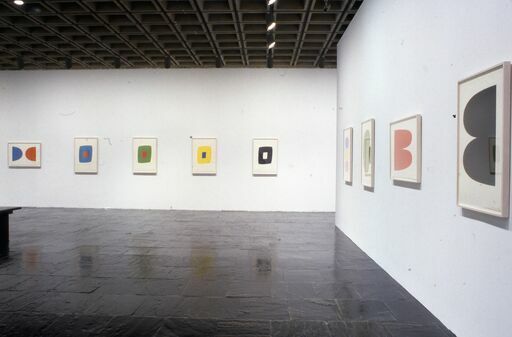 Ellsworth Kelly: Red Green Blue | Whitney Museum of American Art