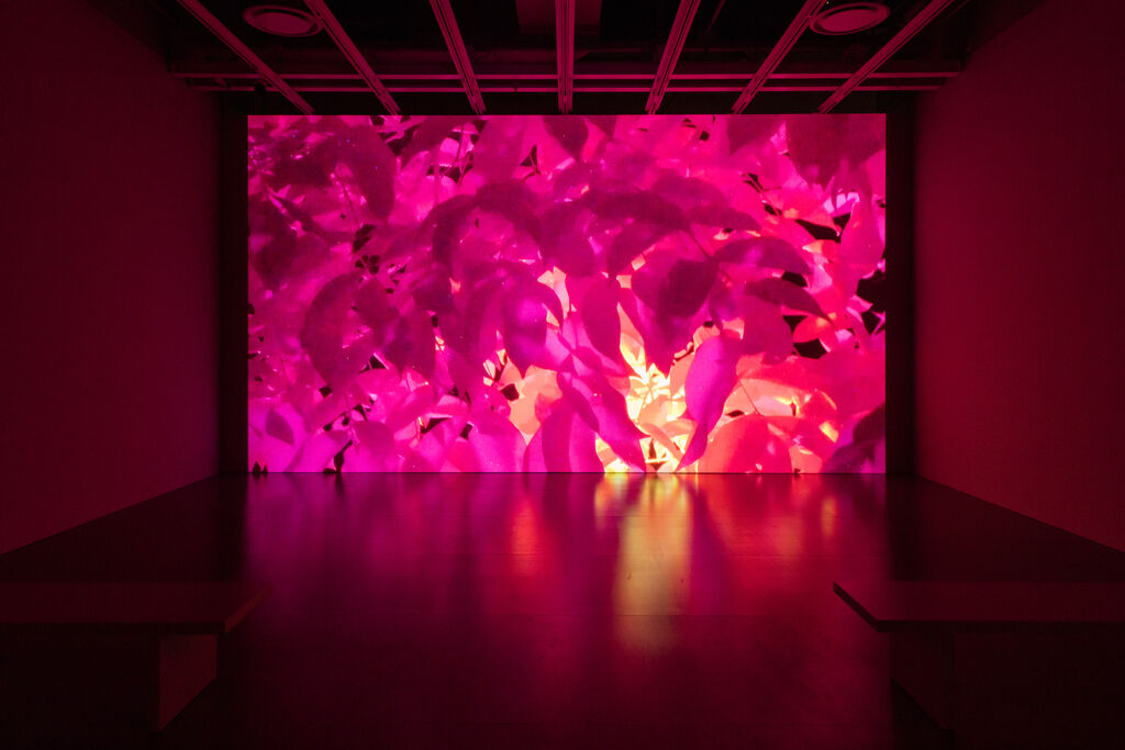 Madeline Hollander: Flatwing | Whitney Museum of American Art