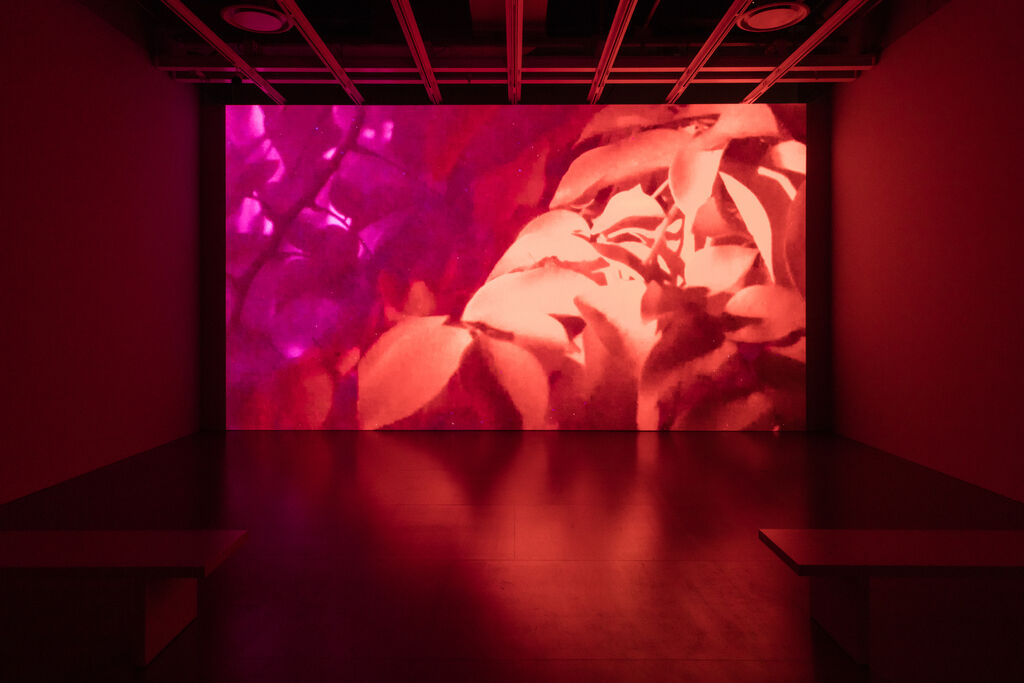 Madeline Hollander: Flatwing | Whitney Museum of American Art