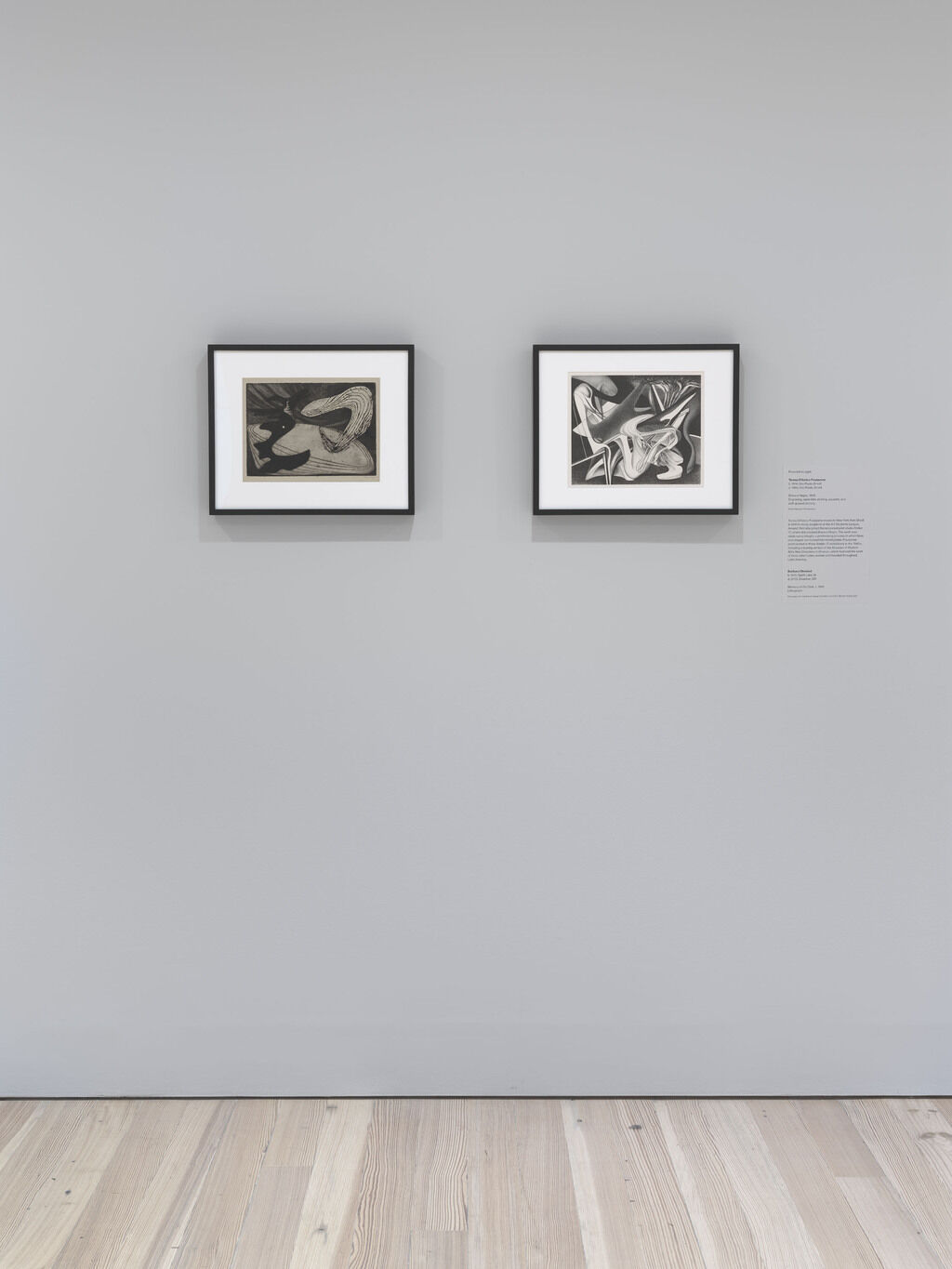 Labyrinth of Forms: Women and Abstraction, 1930–1950 | Whitney Museum ...