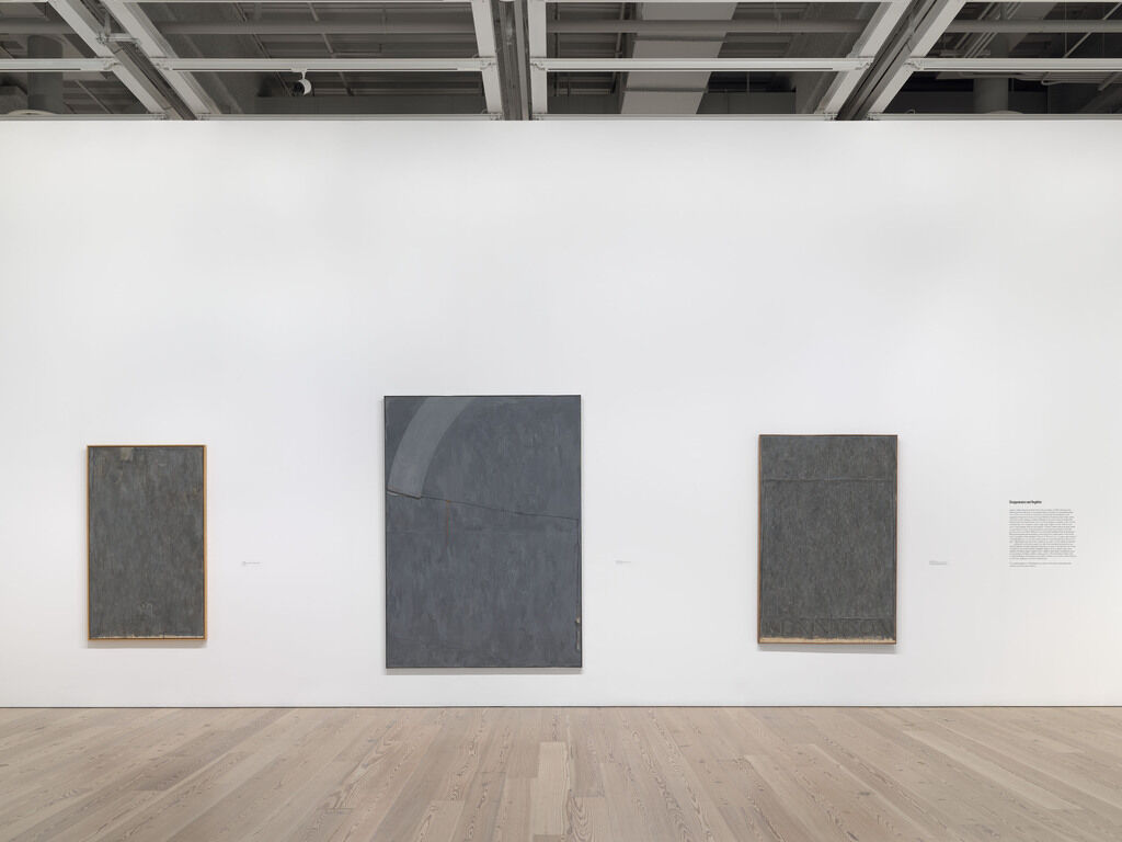 Jasper Johns: Mind/Mirror | Whitney Museum of American Art