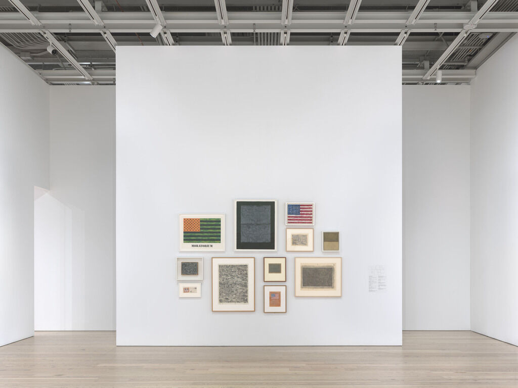 Jasper Johns: Mind/Mirror | Whitney Museum of American Art