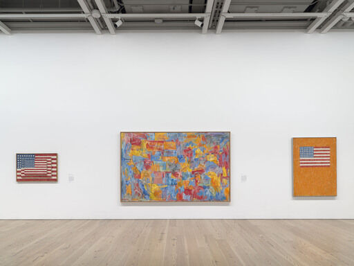Jasper Johns: Mind/Mirror | Whitney Museum of American Art