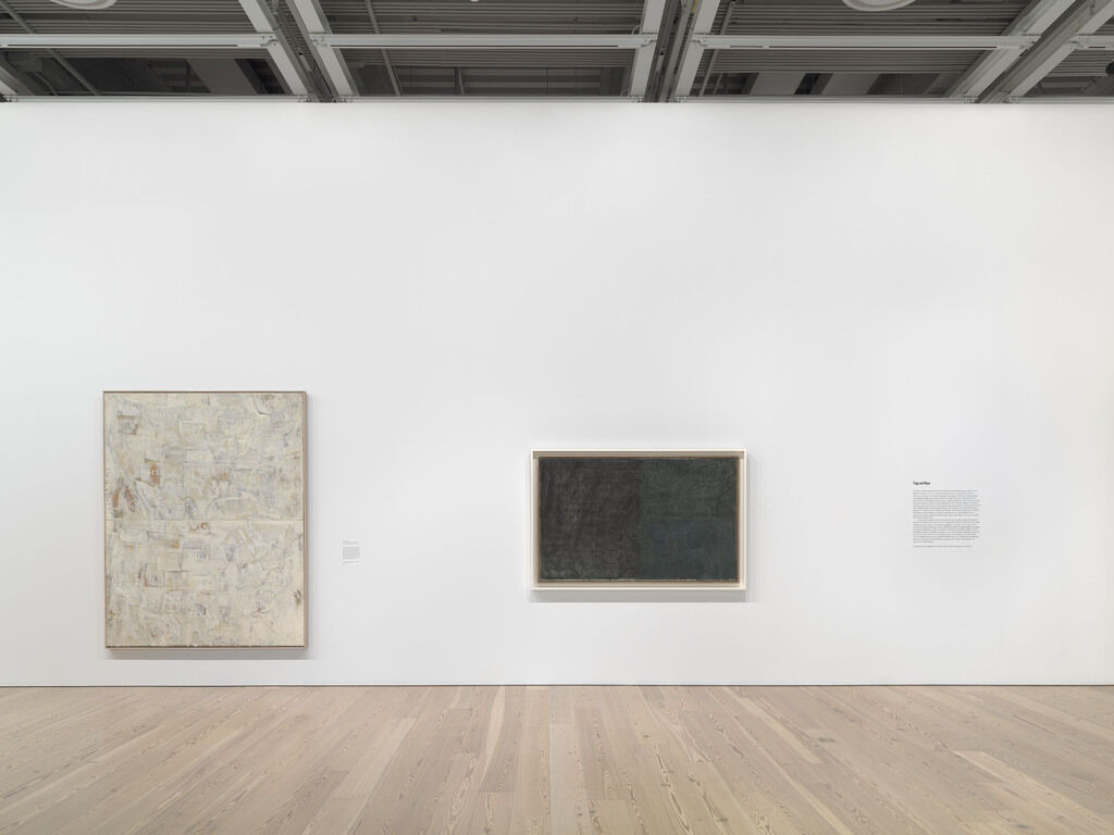 Jasper Johns: Mind/Mirror | Whitney Museum of American Art