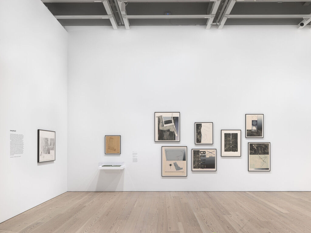 Jasper Johns: Mind/Mirror | Whitney Museum of American Art