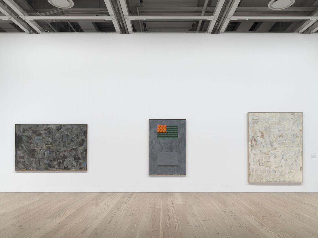 Jasper Johns: Mind/Mirror | Whitney Museum of American Art