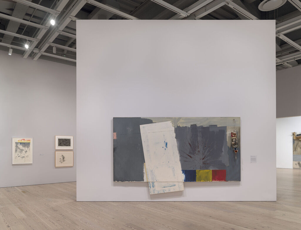 Jasper Johns: Mind/Mirror | Whitney Museum of American Art