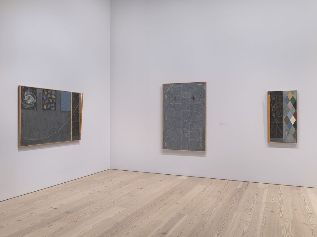 Jasper Johns: Mind/Mirror | Whitney Museum of American Art