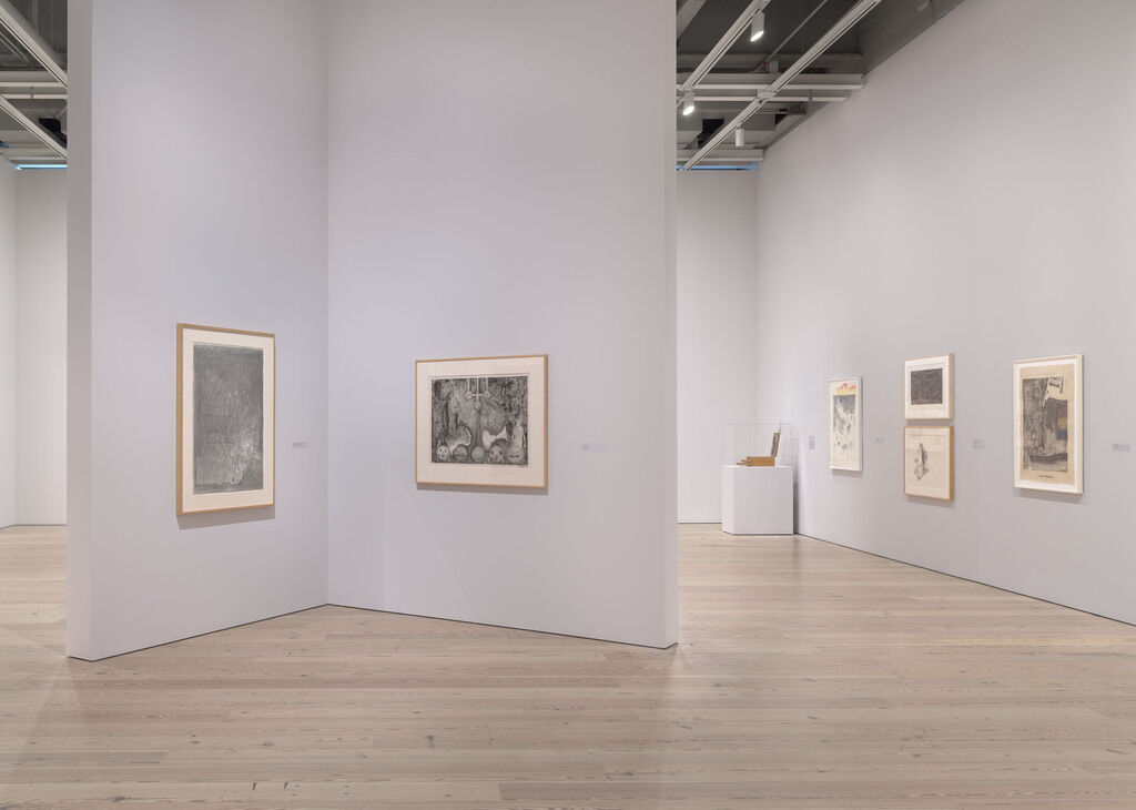 Jasper Johns: Mind/Mirror | Whitney Museum of American Art